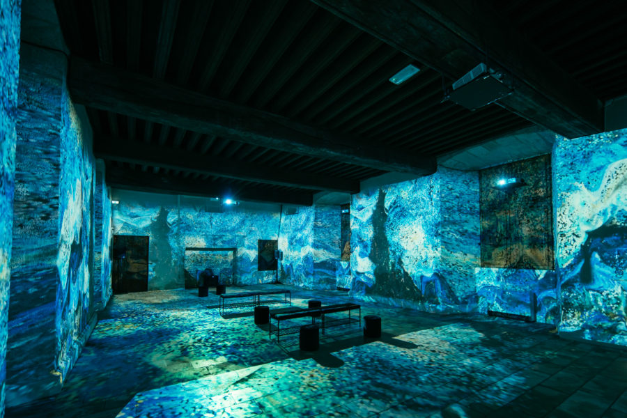 VAN GOGH LA TÊTE DANS LES ÉTOILES - CHÂTEAU DE BEAUGENCY - Studio ...
